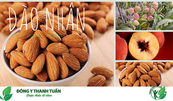 Dao Nhan's Instagram, Twitter & Facebook on IDCrawl